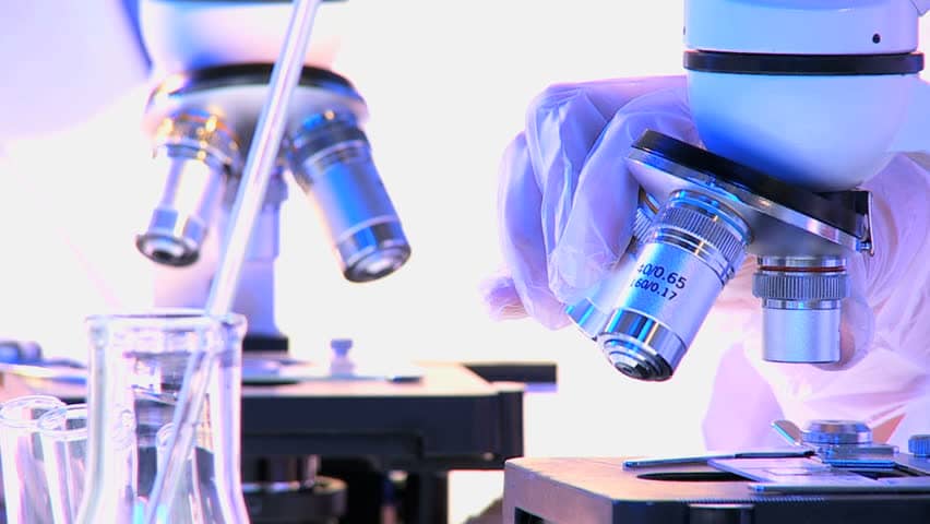 Global Pharma Co. - Home